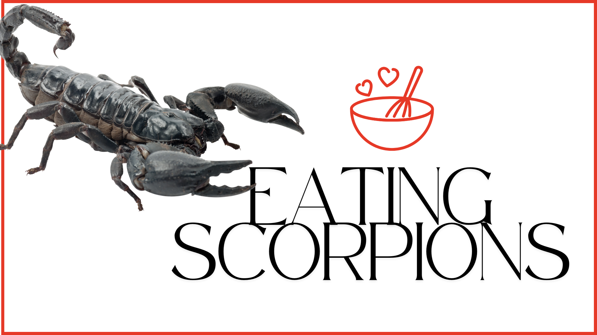 How to Eat Scorpions