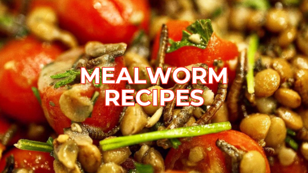 5 Must-Try Mealworm Recipes That Actually Taste Amazing